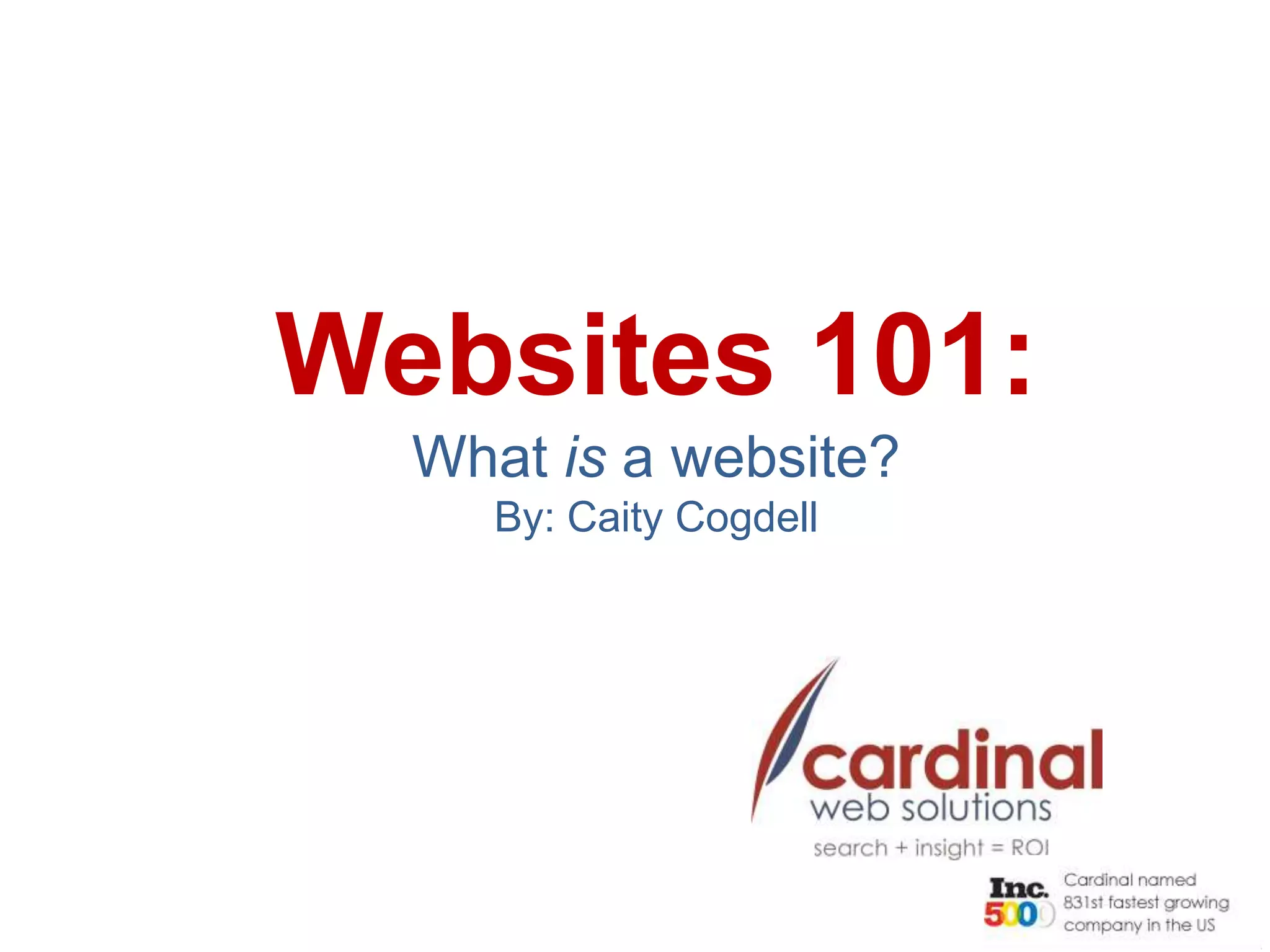 What is a Website? | PPTX