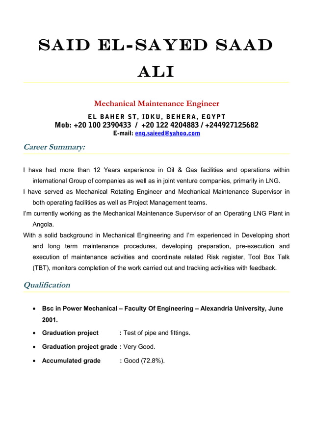 SAID SAAD ALY CV | PDF
