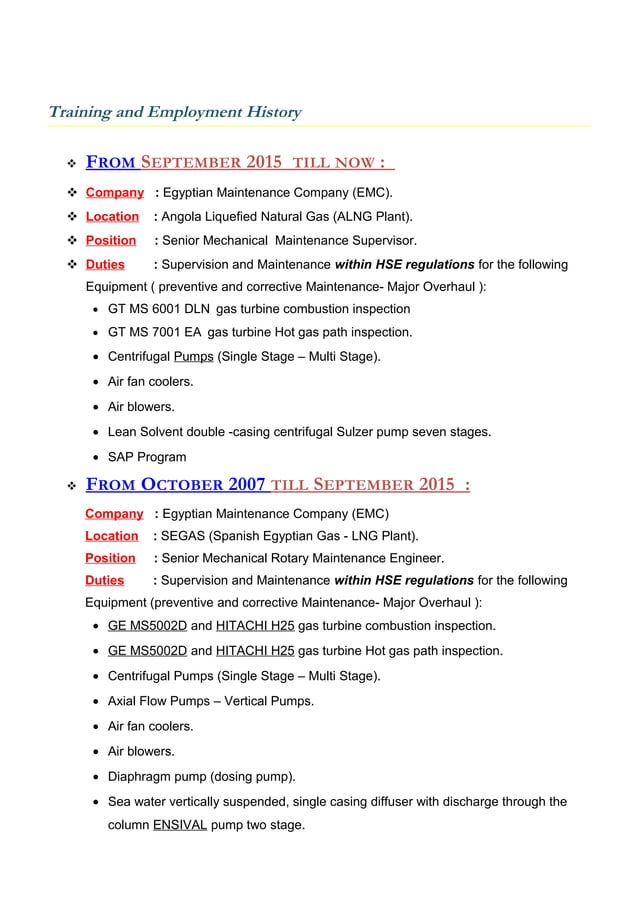 SAID SAAD ALY CV | PDF