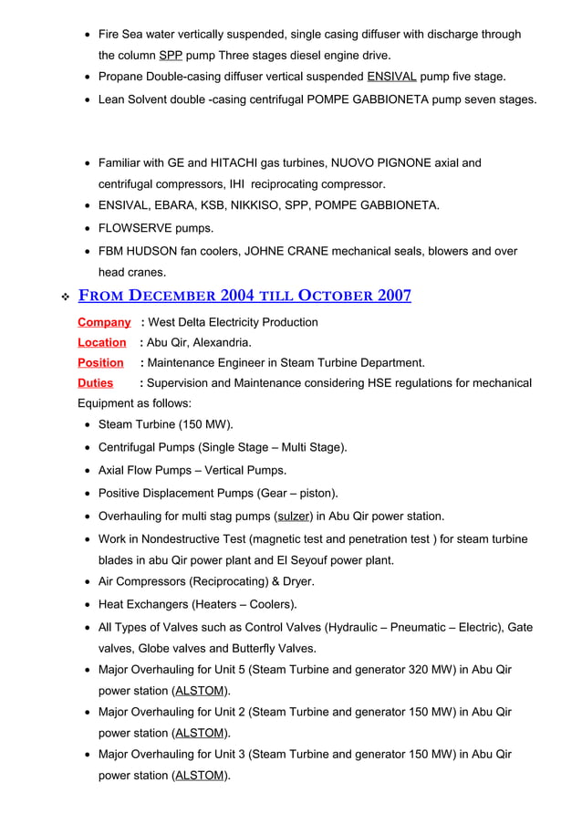 SAID SAAD ALY CV | PDF