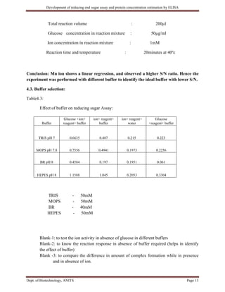Novozymes_report | PDF