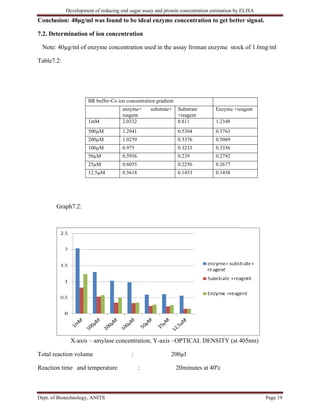 Novozymes_report | PDF