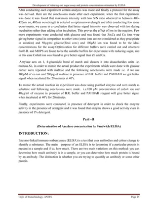 Novozymes_report | PDF