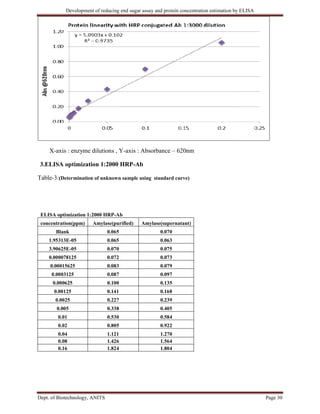 Novozymes_report | PDF