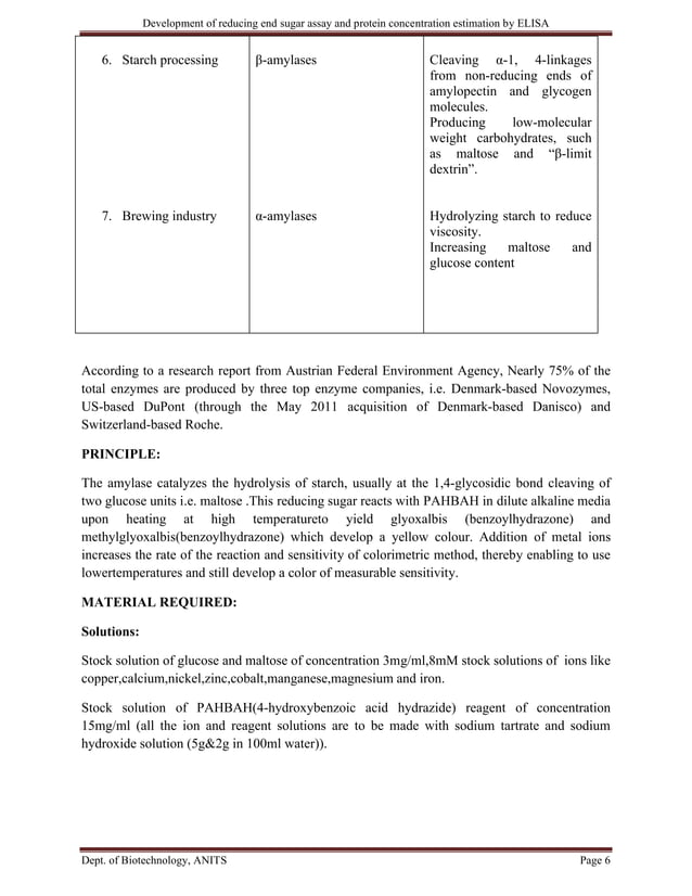 Novozymes_report | PDF