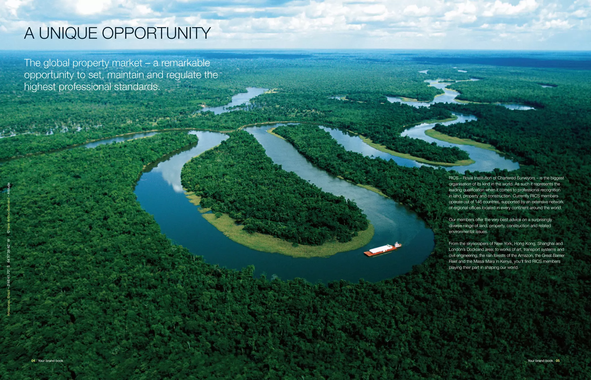 RICS Brand Book | PDF