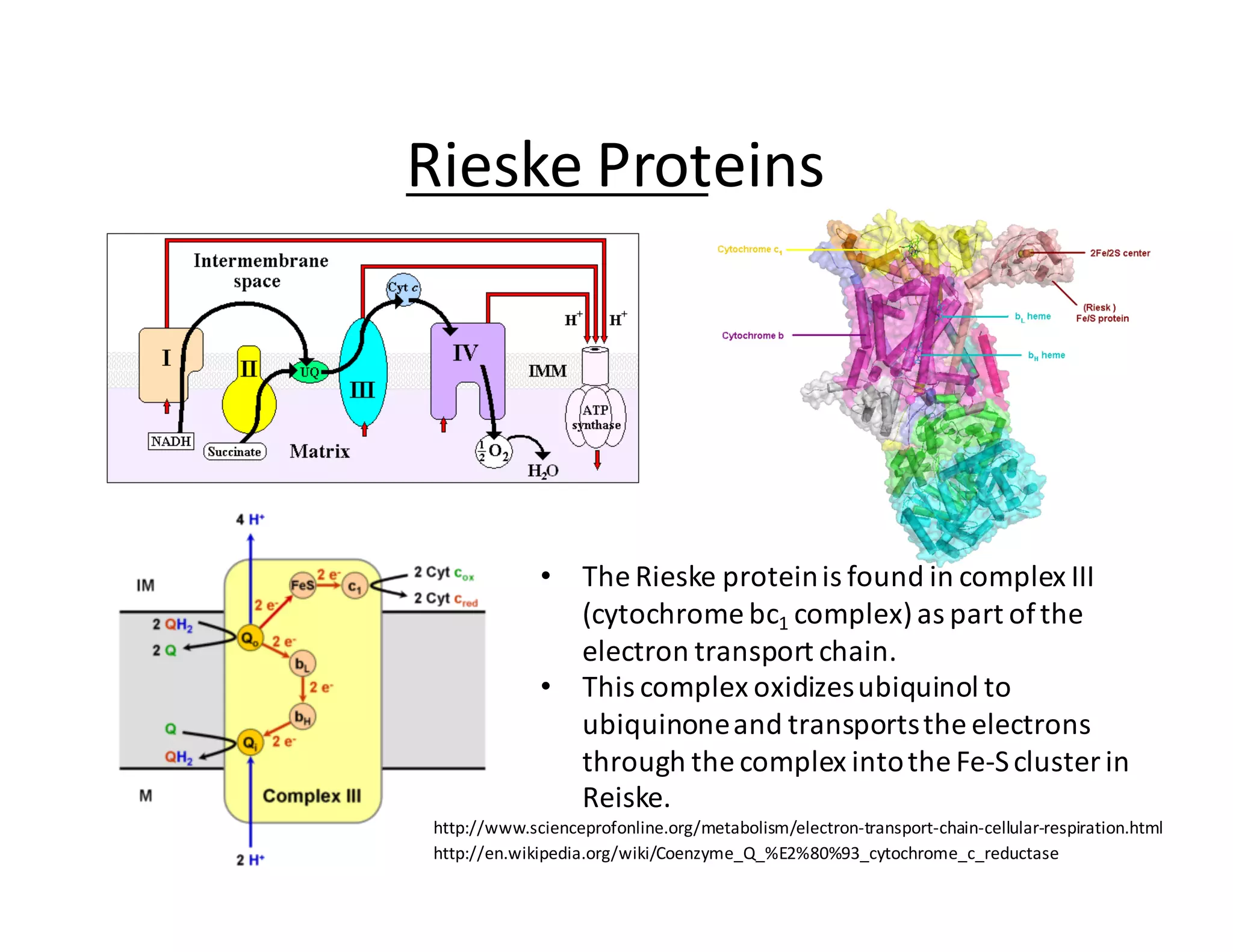 ACS poster final | PDF