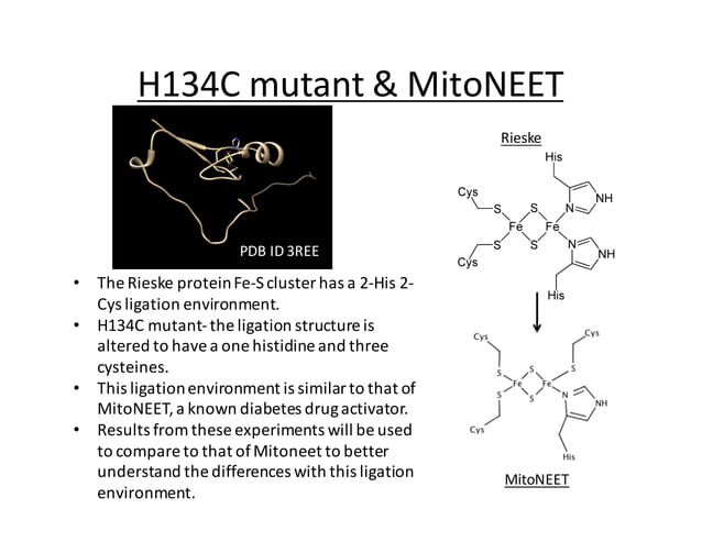 ACS poster final | PPT