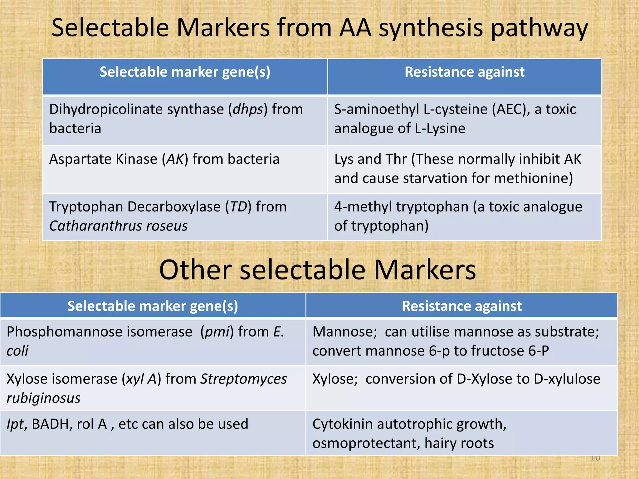Markers and reporter genes | PPTX