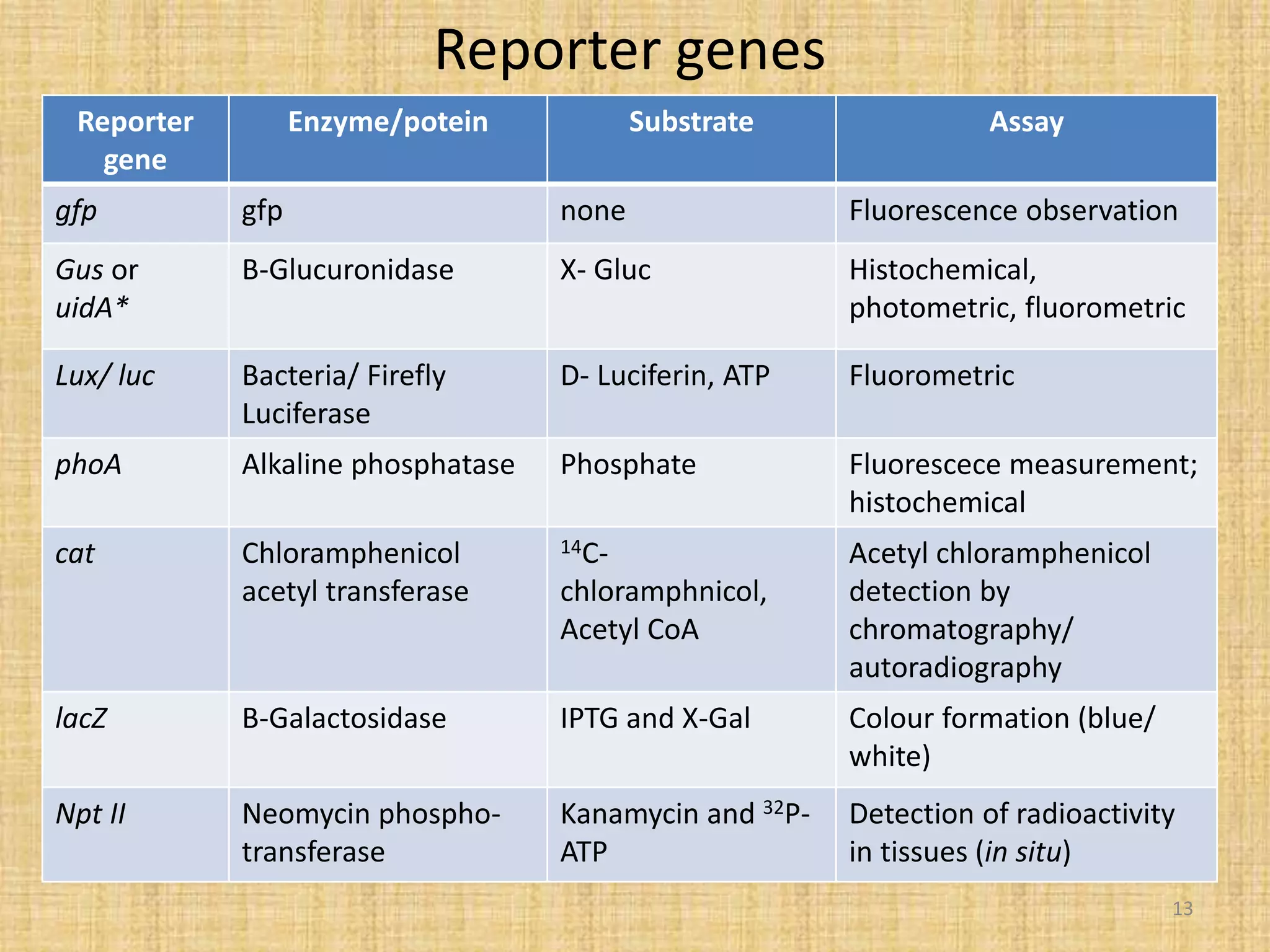 Markers and reporter genes | PPTX