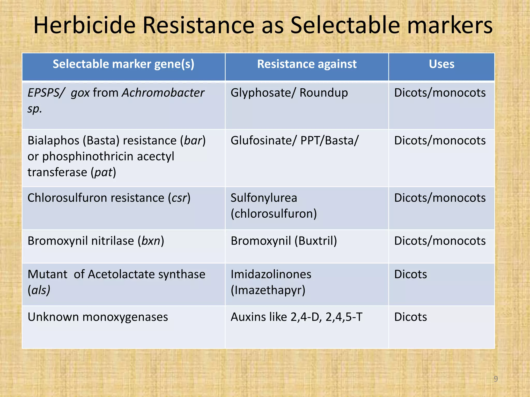 Markers and reporter genes | PPTX