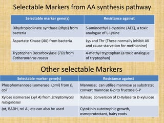 Markers and reporter genes | PPTX