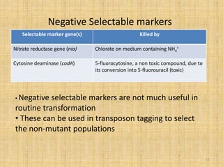 Markers and reporter genes | PPTX