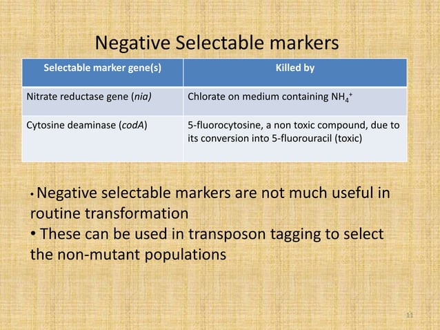 Markers and reporter genes | PPTX