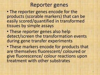 Markers and reporter genes | PPTX