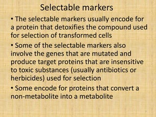 Markers and reporter genes | PPTX