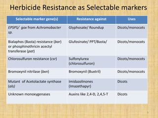 Markers and reporter genes | PPTX