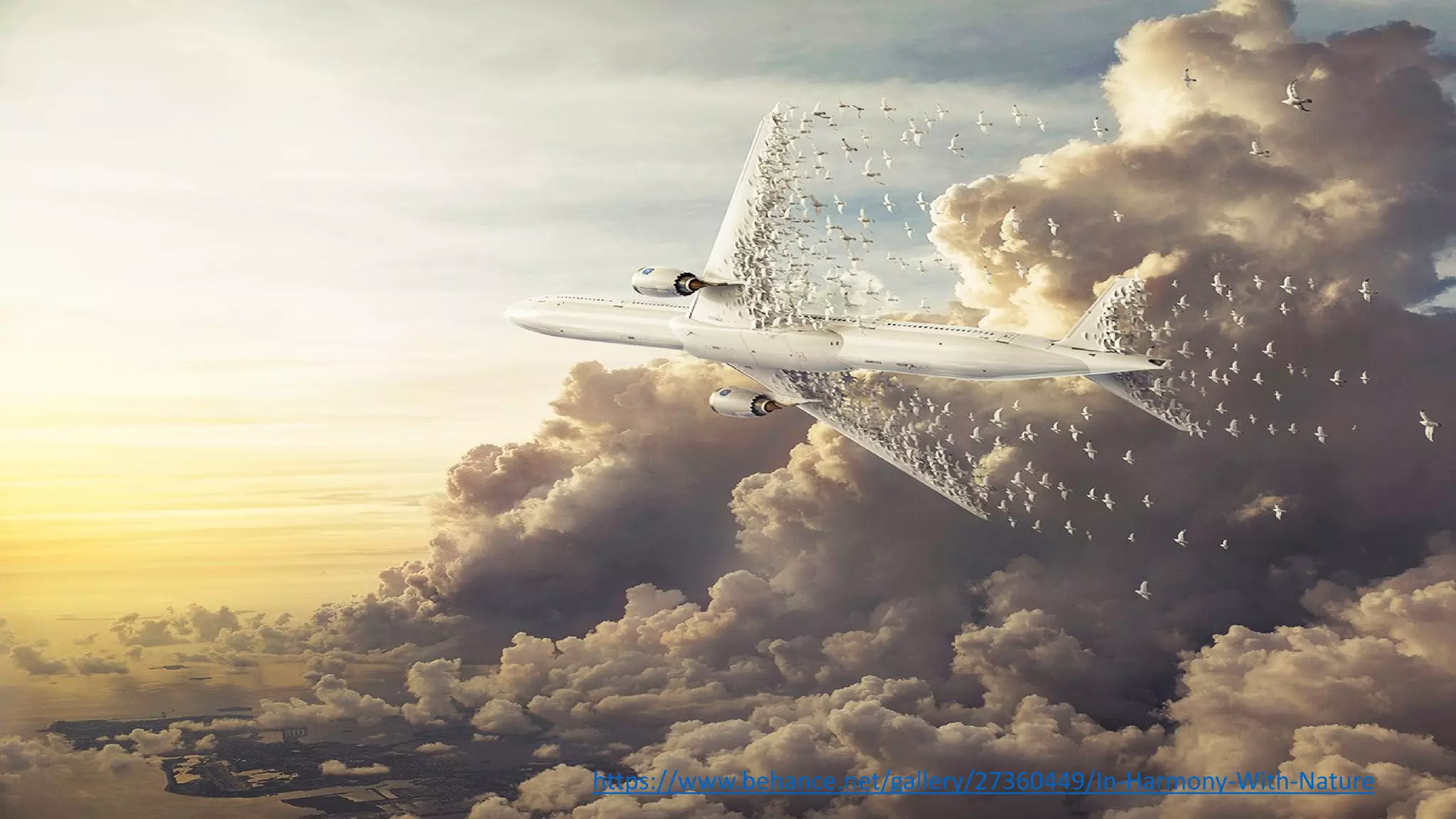 Izquierdo 91615 HarmoniouSustainability CV2 | PDF