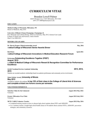 Brandon Palmer CV | DOC