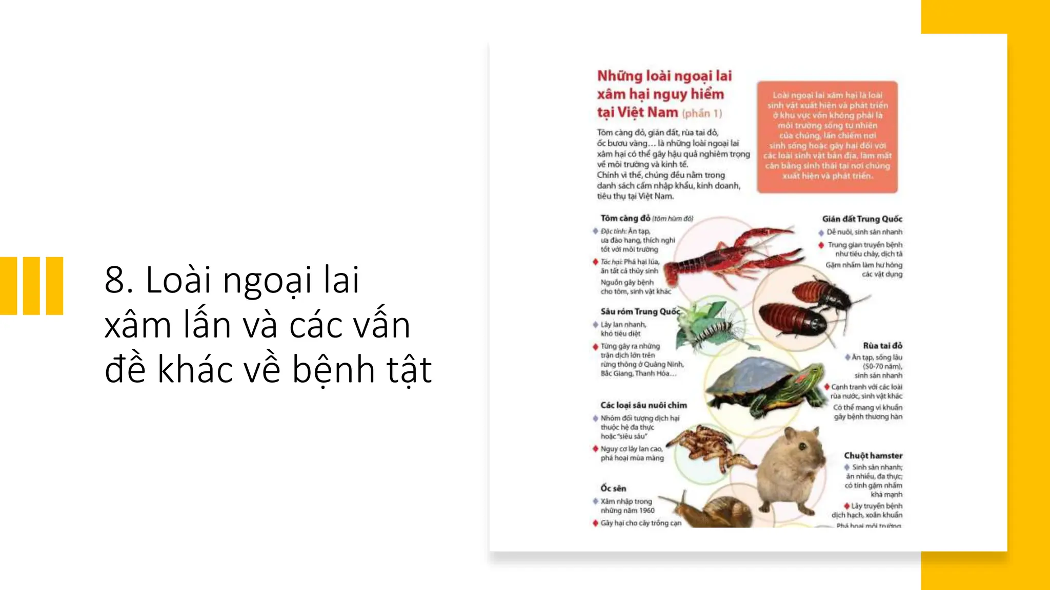 DDA DANG SINH HOC VIET NAM.pptx