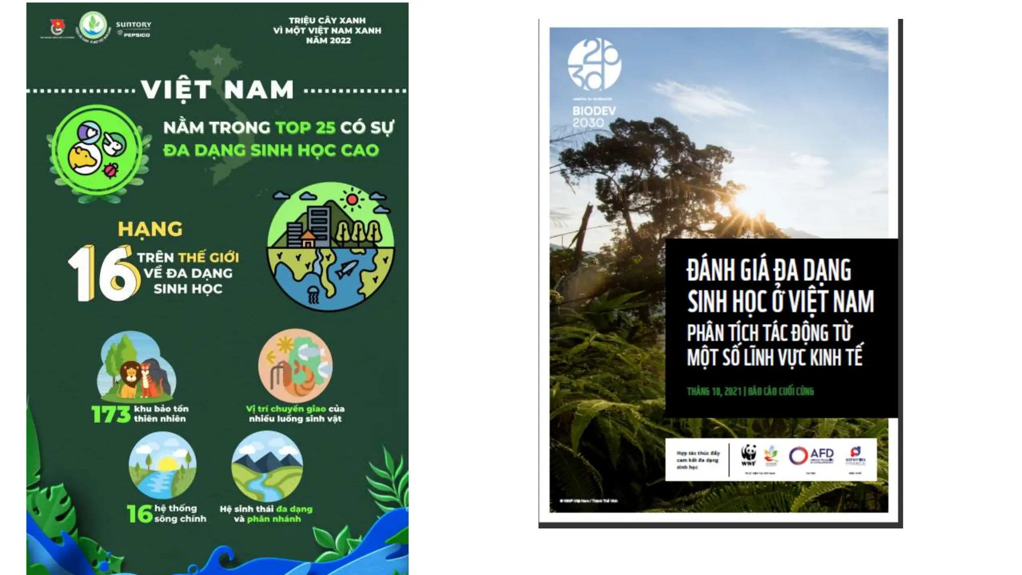 DDA DANG SINH HOC VIET NAM.pptx