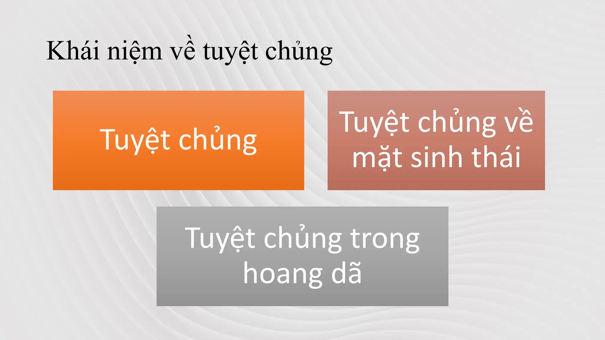 DDA DANG SINH HOC VIET NAM.pptx