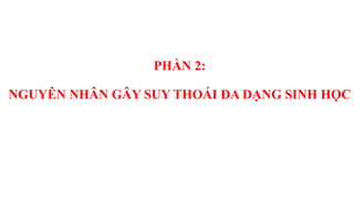 DDA DANG SINH HOC VIET NAM.pptx