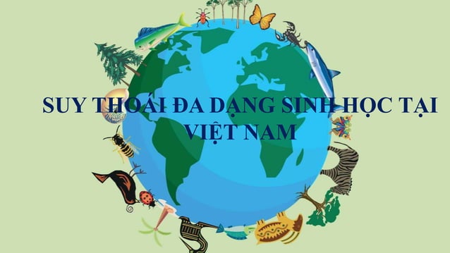 DDA DANG SINH HOC VIET NAM.pptx