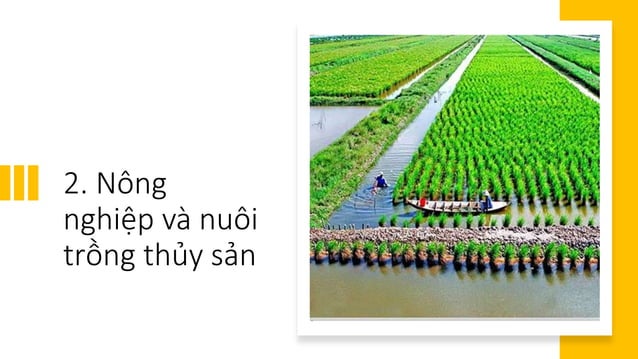 DDA DANG SINH HOC VIET NAM.pptx