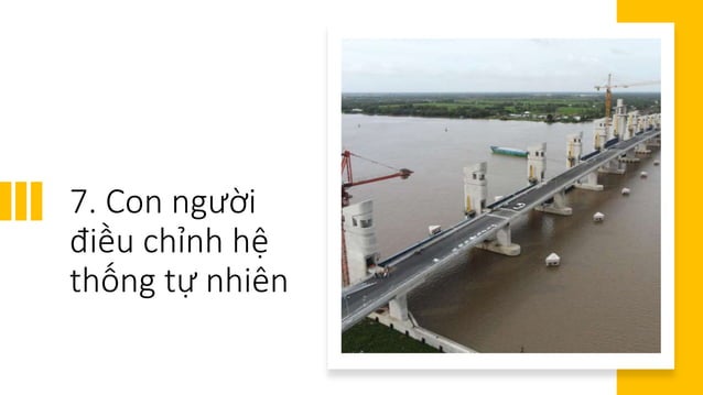 DDA DANG SINH HOC VIET NAM.pptx