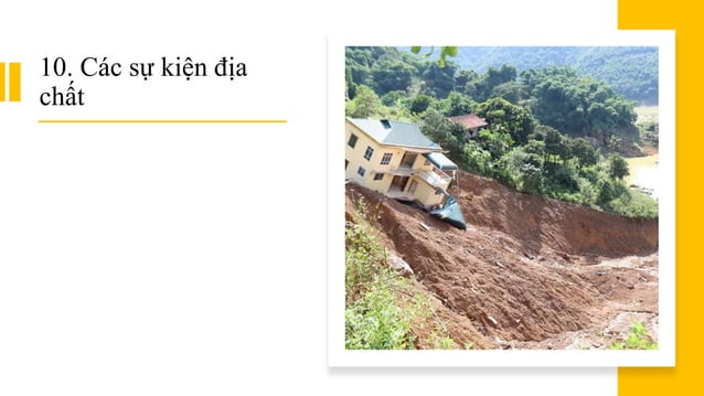 DDA DANG SINH HOC VIET NAM.pptx