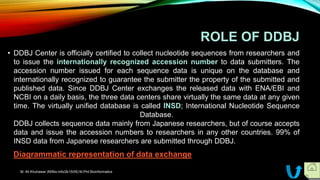 Ddbj | PPTX