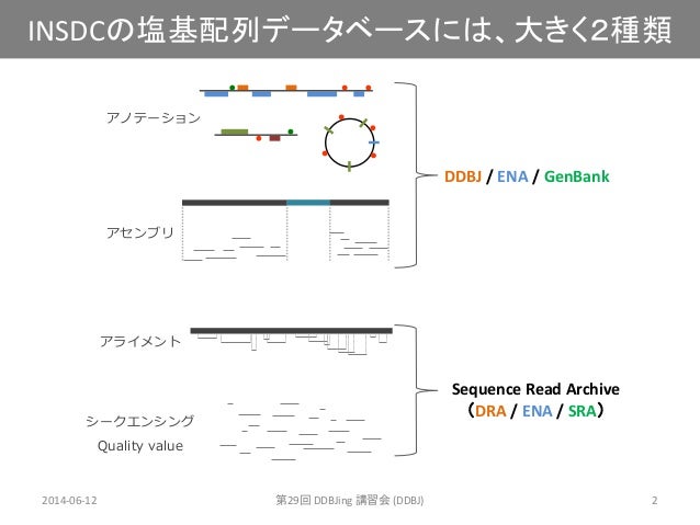 Ddbj Sequence Read Archive – Ddbj 登録マニュアル – SJFQ