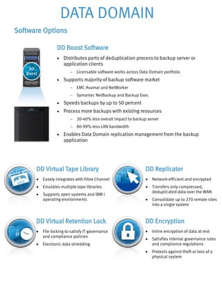 DataDomain brochure | PDF