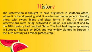 Watermelon | PPTX