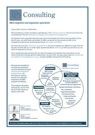 DD Consulting One Pager | PDF