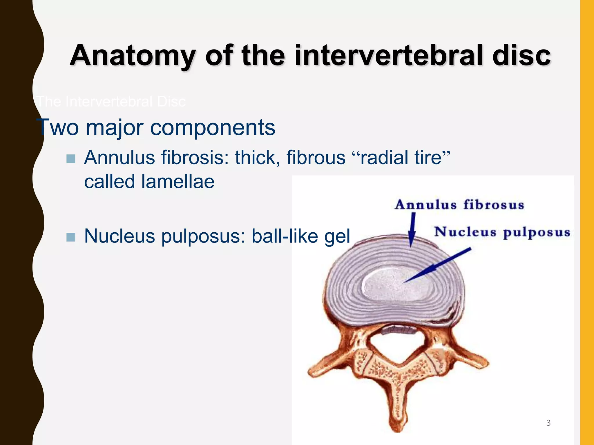 Degenerative Disc Disease Ddd Ppt
