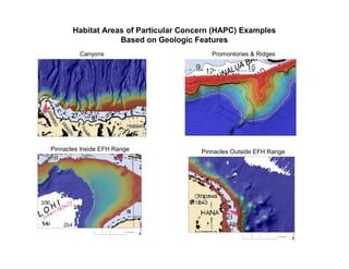 Bottomfish Habitat and Restricted Fishing Area Analysis | PDF