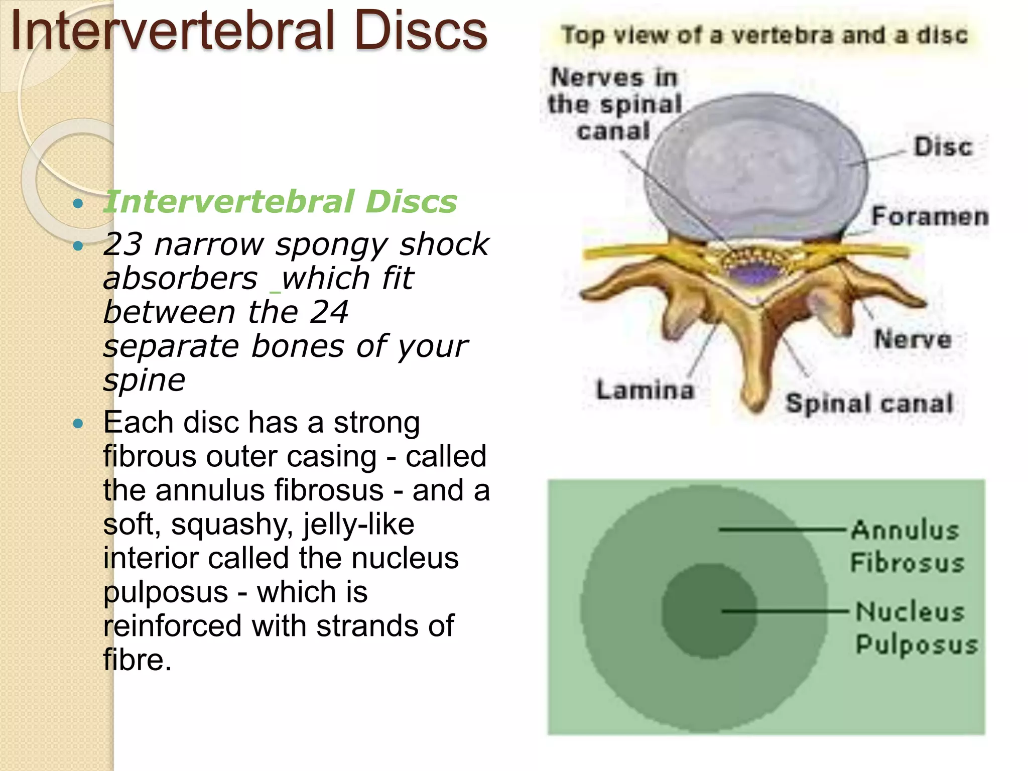 Degenerative disease of the spine | PPTX