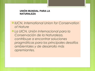 ORGANIZACIÓN MUNDIAL DEL MEDIO AMBIENTE | PPT