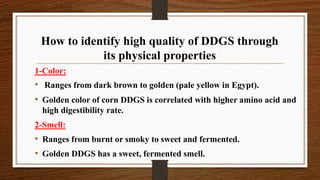 Ddgs | PDF