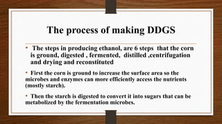 Ddgs | PDF