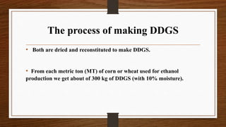 Ddgs | PDF