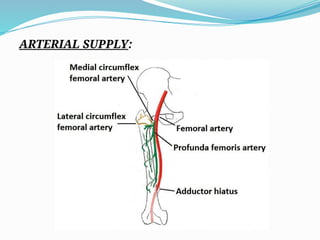 Developmental Dysplasia of Hip (DDH) or Congenital Dislocation of Hip ...