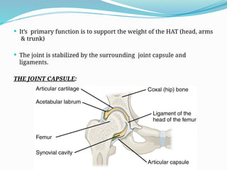 Developmental Dysplasia of Hip (DDH) or Congenital Dislocation of Hip ...