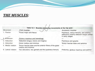 Developmental Dysplasia of Hip (DDH) or Congenital Dislocation of Hip ...