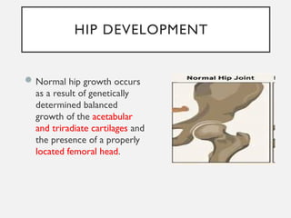 DEVELOPMENTAL DYSPLASIA OF HIP RADIOLOGY.pptx