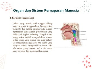 DDI_KELOMPOK 8.pptx
