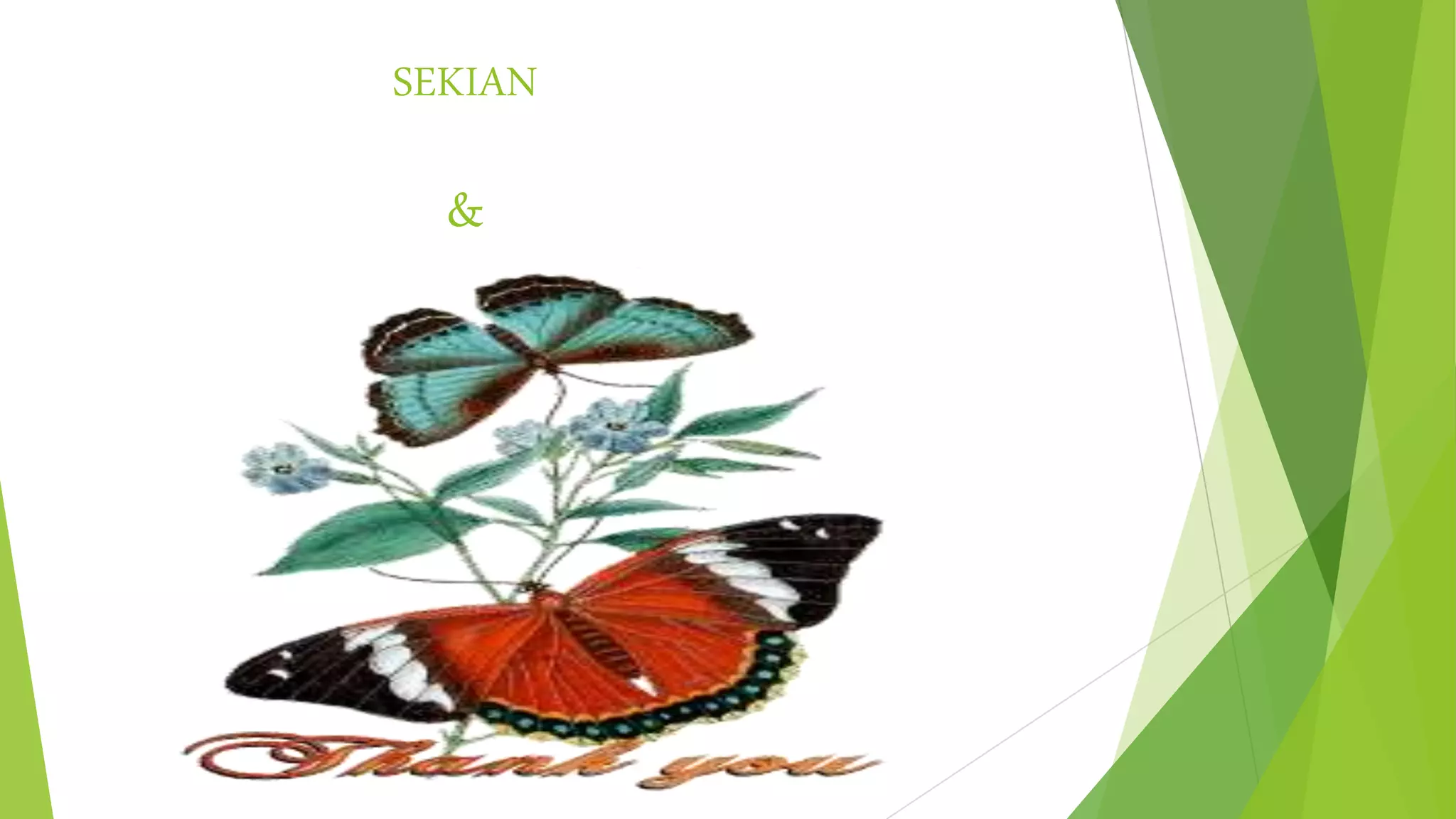 D Dimer Daryani.pptx