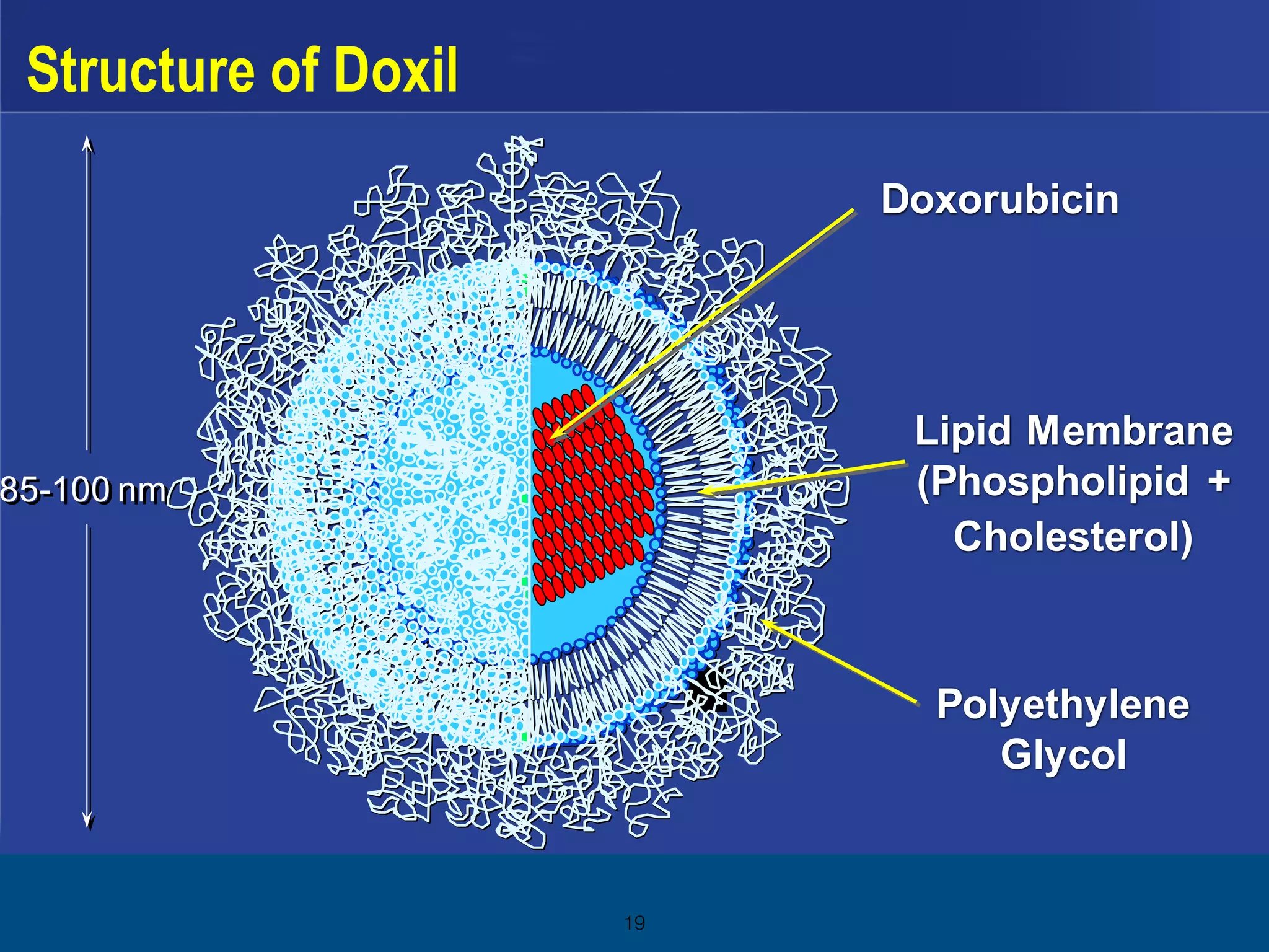 Drug Delivery Systems in Cancer | PDF